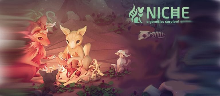 Guide for Niche: Beginners Tips - LadiesGamers